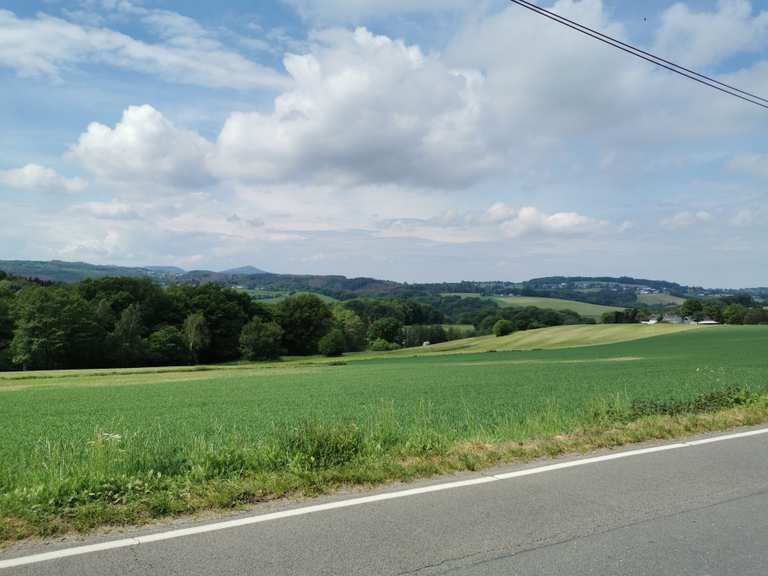 NABU-Gelände Steinbruch Eulenberg: Wanderungen und Rundwege | komoot