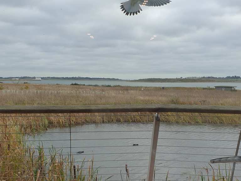 Abberton Reservoir - Cycle Routes and Map | Komoot