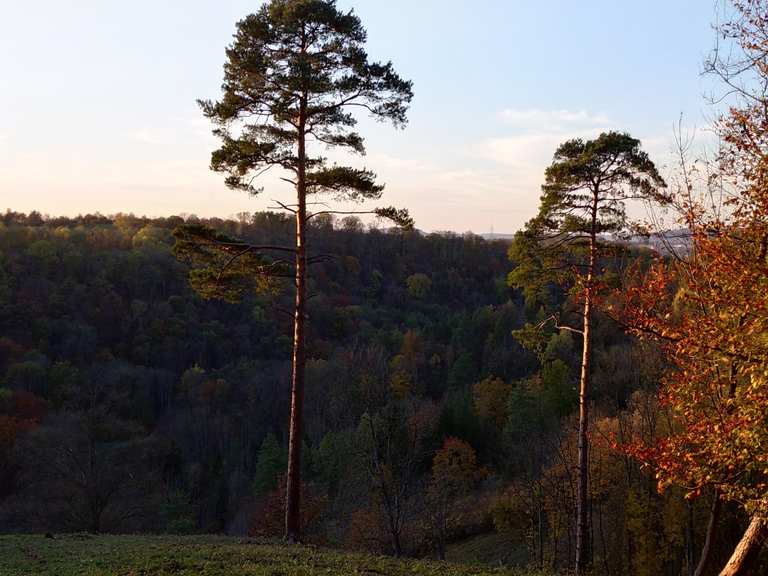 Leudelsbachtal – Blick ins Leudelsbachtal Runde von Untermberg ...