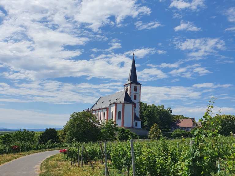 Katholische Pfarrkirche St. Peter und Paul (Hochheim am Main ...
