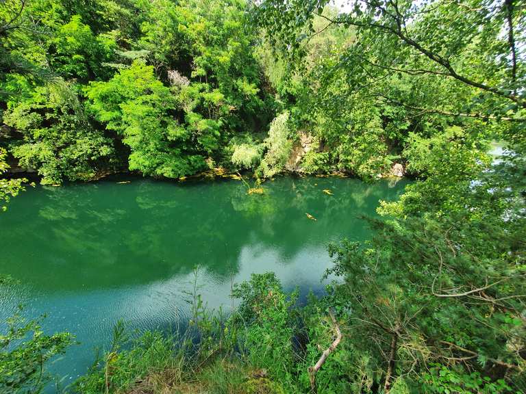 Blick auf den Vogelsberger See und die Canyon-Brücke: Wanderungen und ...