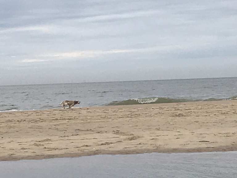 Strand Routes for Walking and Hiking | Komoot