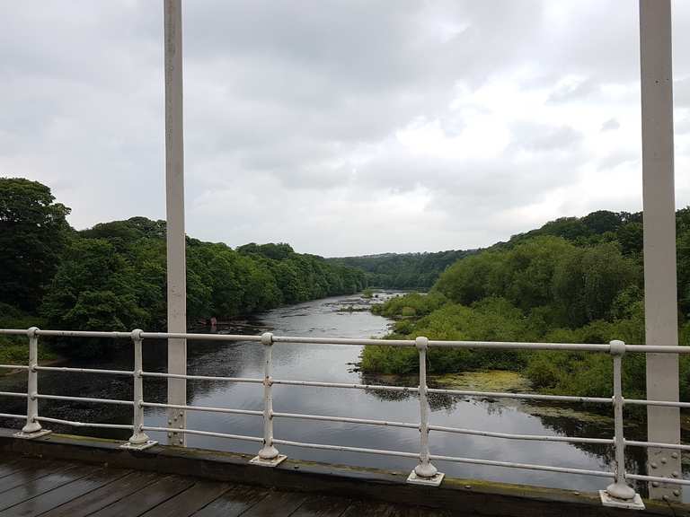 Hagg Bank Bridge (Wylam Bridge) - Cycle Routes and Map | Komoot