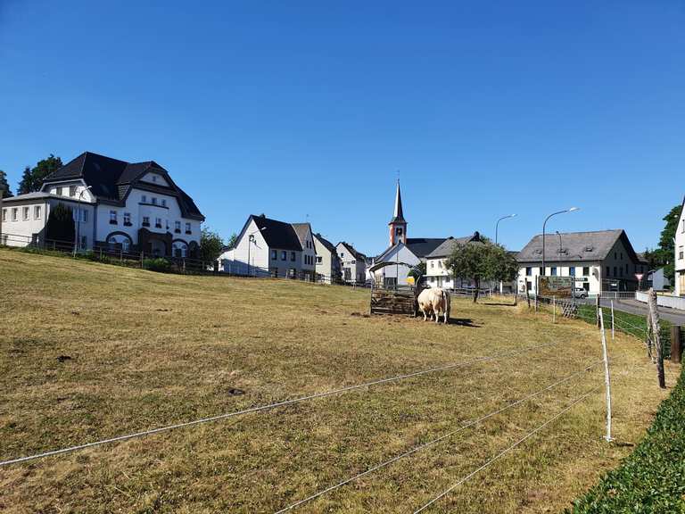 Stadtkyll (Eifel): Wanderungen und Rundwege | komoot