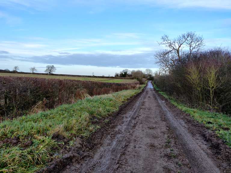 Gravel ride to Stoke Lane - Steep Gravel Path | gravel ride | Komoot
