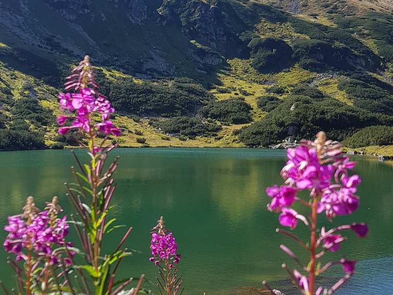 Black Gasienic Pond – Zielony Staw Mountain Lake loop from Bystre ...