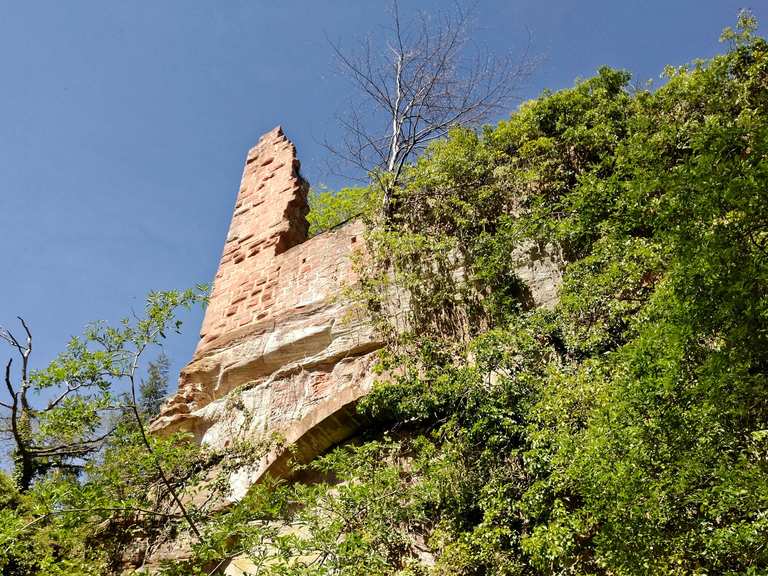 Grand Wintersberg – Château du Wasenbourg Runde von Philippsburg ...