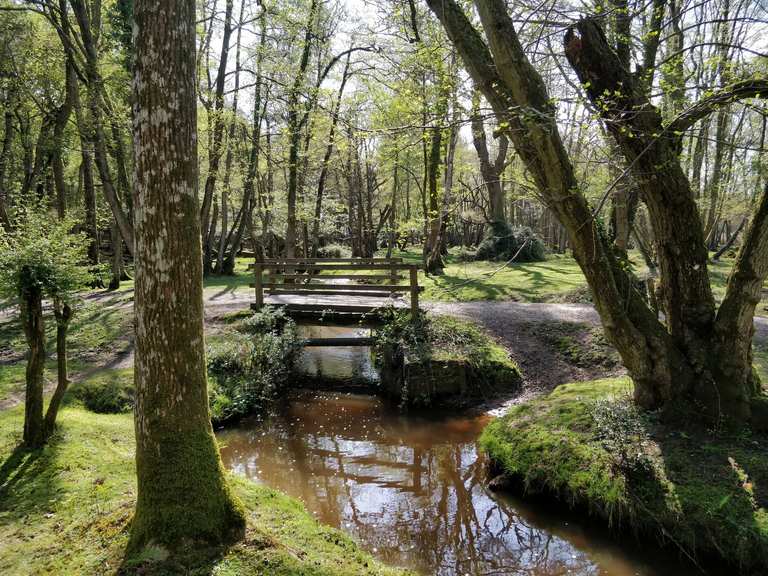 Beautiful quiet bridge over babbling brook Routes for Walking and ...