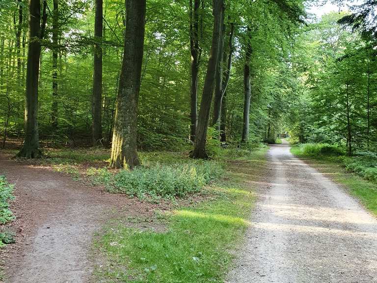 Volksdorfer Weg Hamburg