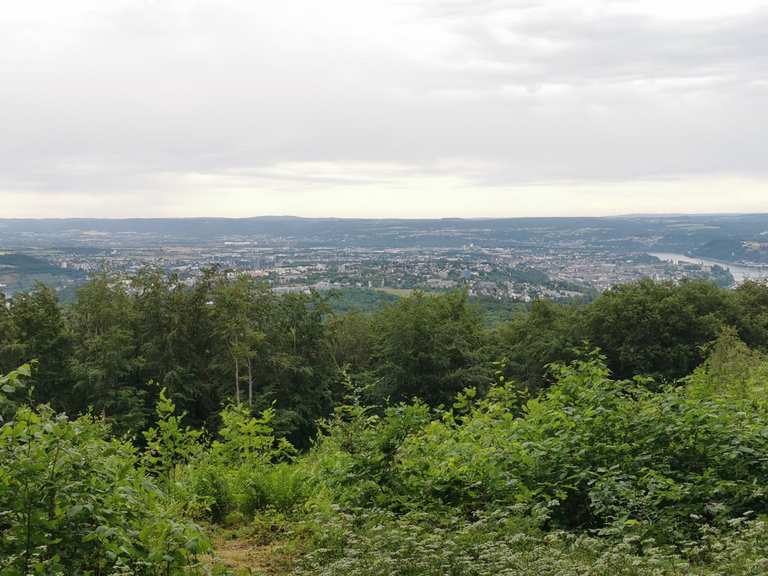 Pfad zum/vom Kühkopf – Forsthaus Kühkopf Runde von Waldesch | Wanderung ...