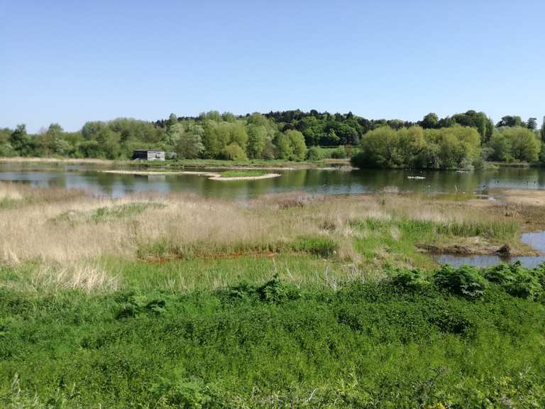River Lee Navigation view Routes for Walking and Hiking | Komoot
