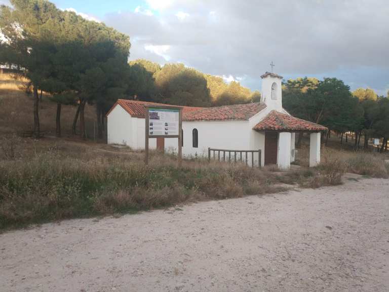 Rodeo al Aeropuerto de Madrid-Barajas por el Parque Forestal de ...