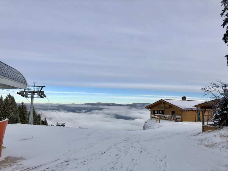 Blick auf Arber-Gipfel & Bergstation Sonnenhang-Bahn - Mountain Bike Trails & Tracks | Komoot
