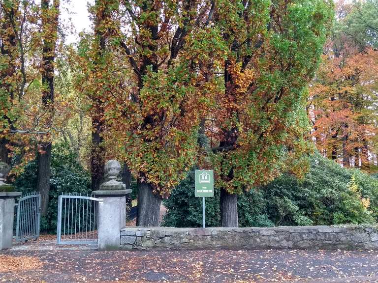 Park Bischheim Routes for Walking and Hiking | Komoot