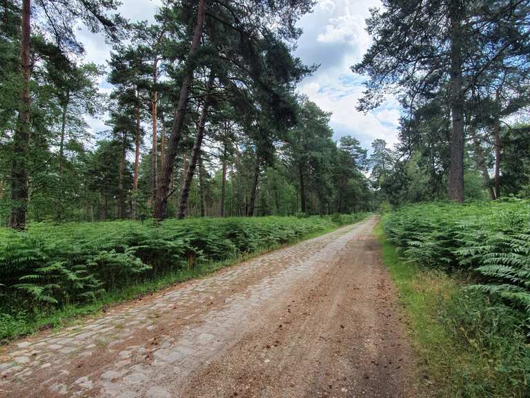 Route pavée dans la forêt d'Ermenonville Cycle Routes and Map | Komoot