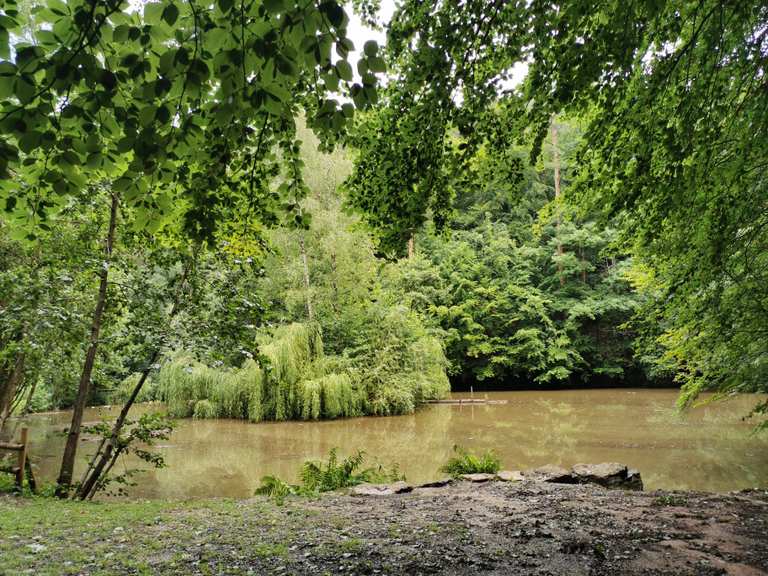 Eichensee: Wanderungen und Rundwege | komoot