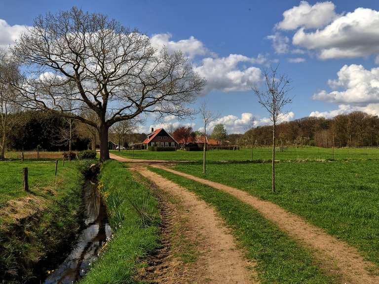 Karrenspur durch die Nationale Landschaft Winterswijk : Radtouren und ...