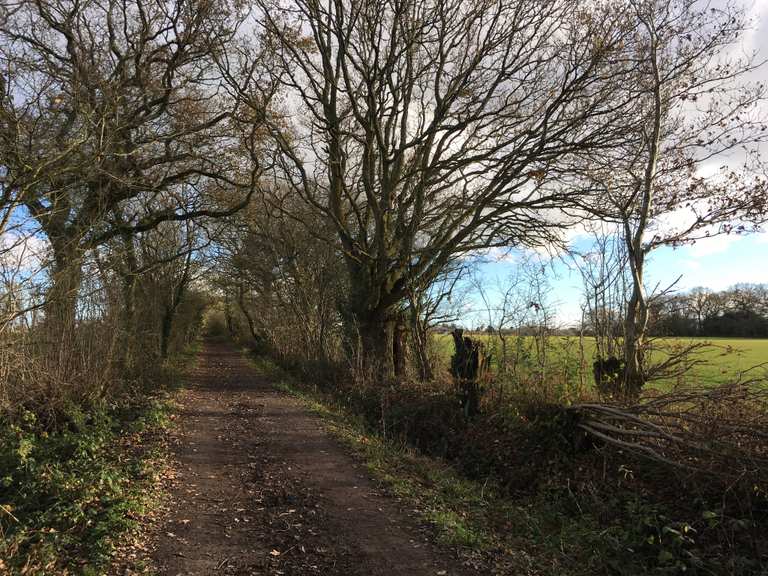 Broad Lane restricted Byway Cycle Routes and Map | Komoot