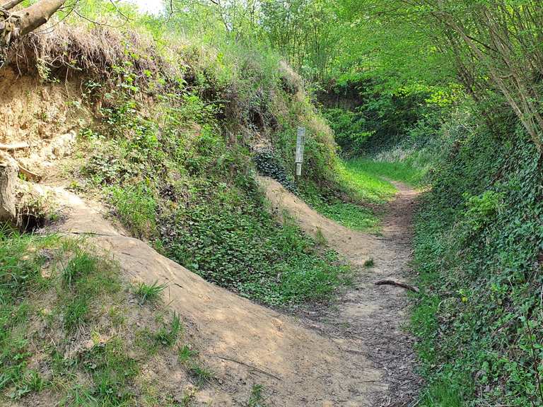 Dachshöhlen auf dem Naturlehrpfad : percorsi escursionistici e trekking ...
