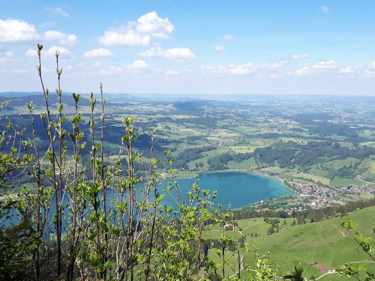 View of Großer Alpsee from Gschwender Horn: Wanderungen und Rundwege ...