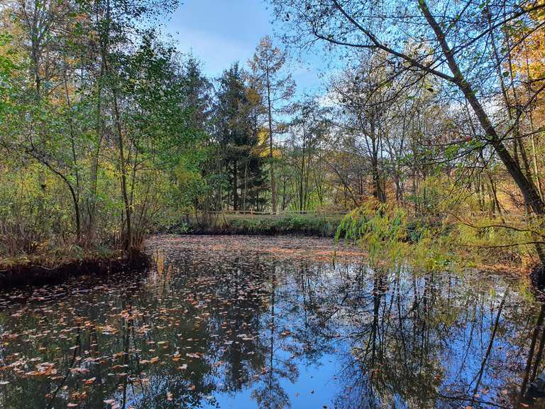 Eichensee: Wanderungen und Rundwege | komoot