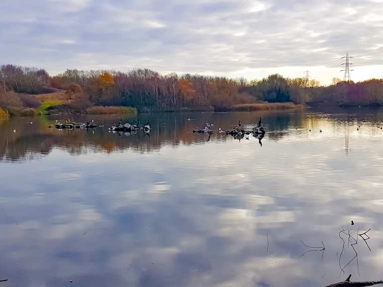Sheepwash Nature Reserve Routes for Walking and Hiking | Komoot
