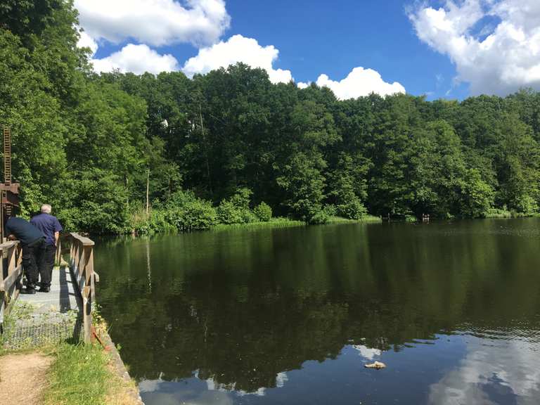 Selker Mühle : Radtouren und Radwege | komoot