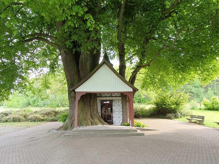 Heilborn Dernbach: Mountainbike-Touren und -Trails | komoot