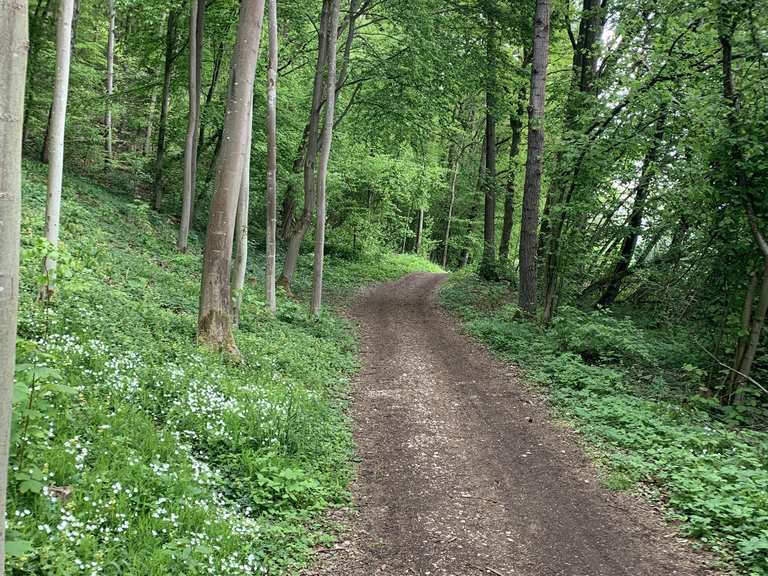 Enger Weg am Abgrund: MTB-routes en trails | Komoot