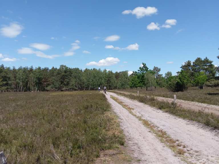 Rundtour Osterheide, Totengrund, Wilseder Berg - Cycle Routes and Map ...