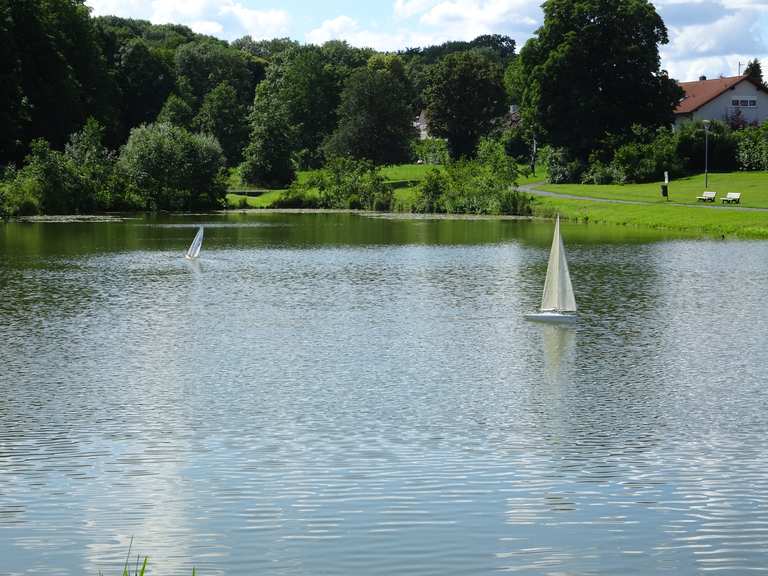 Elsenz See: Mountainbike-Touren und -Trails | komoot