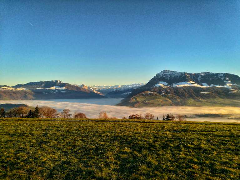 Rooterberg Routes for Walking and Hiking | Komoot