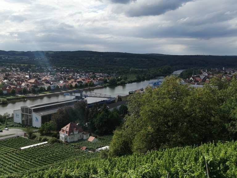 Tor zu den Weinterassen Erlenbach am Main - Mountain Bike Trails ...