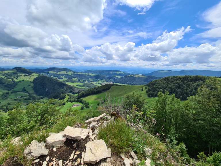 Vogelberg-Gipfel: Wanderungen und Rundwege | komoot