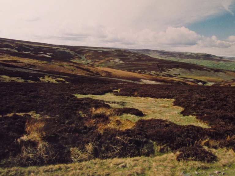 East Bolton Moor loop from Fremington — Yorkshire Dales National Park ...