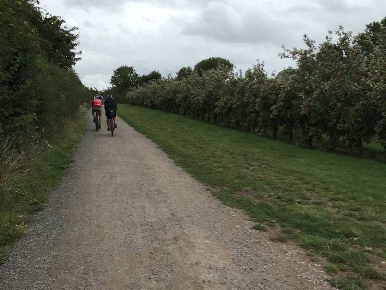 Shute Shelve Railway Tunnel – Strawberry Line loop from Axbridge | bike ...