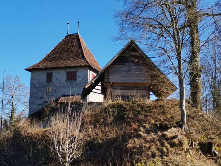 Schloss Buchegg: Mountainbike-Touren und -Trails | komoot