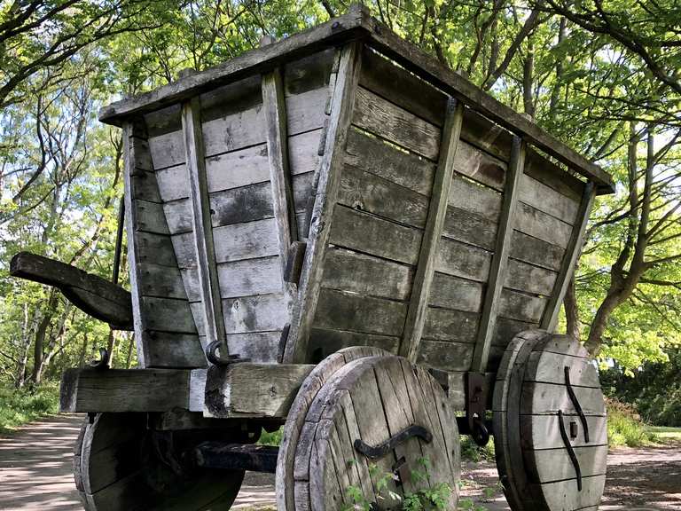 Old Waggon Way: percorsi escursionistici e trekking | Komoot