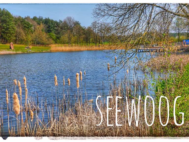 Seewoog: Wanderungen und Rundwege | komoot