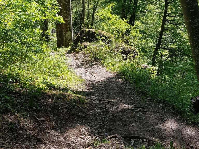 Downhill Singletrail – Schöner Trail, Wanderweg Runde von Woringen ...