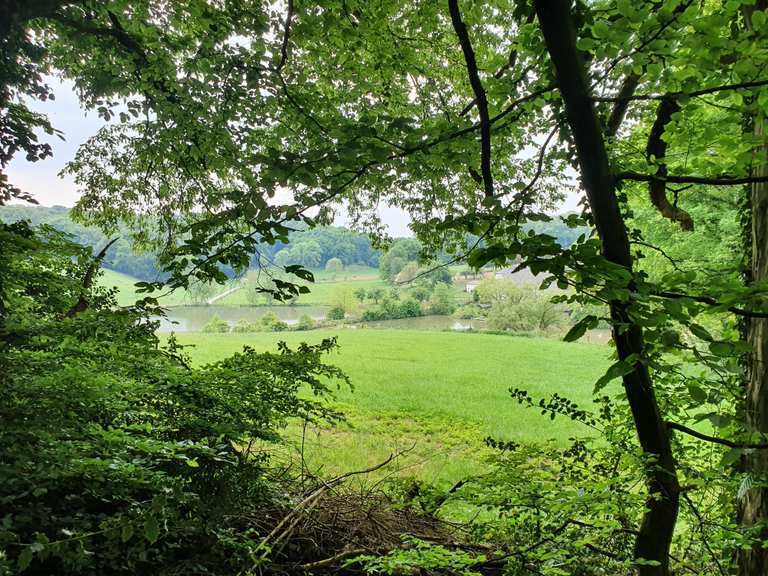Blick auf Gut Papendelle: Wanderungen und Rundwege | komoot