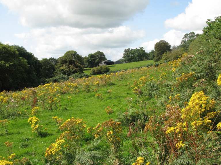 Stanton Moor, Rowsley & the River Derwent loop from Darley Bridge ...