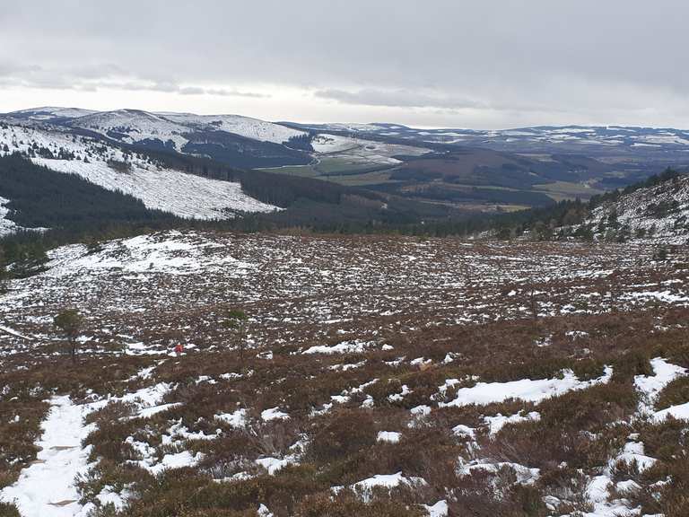 Mither Tap Routes for Walking and Hiking | Komoot