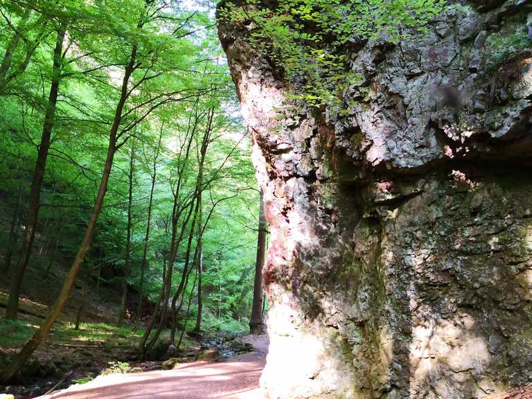Felsental: Wanderungen und Rundwege | komoot