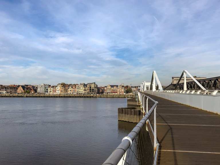 Scheldebrug Bornem-Temse - wiellerroutes en kaart | Komoot