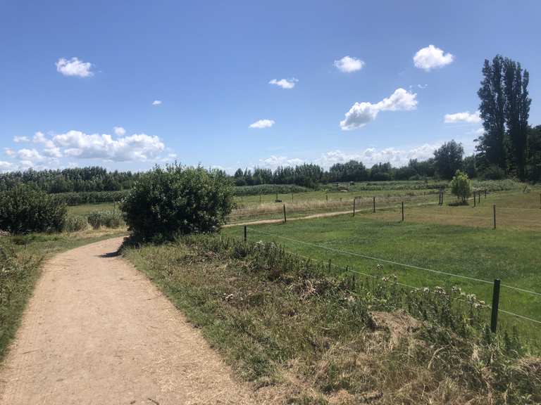 Dünen – Bosrijke slingerende weg Rondje vanuit West Repart/Dolfijn (RTM ...