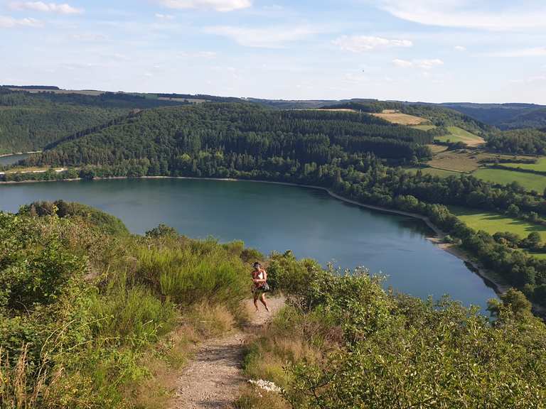 Obersauer Stausee: Wanderungen und Rundwege | komoot