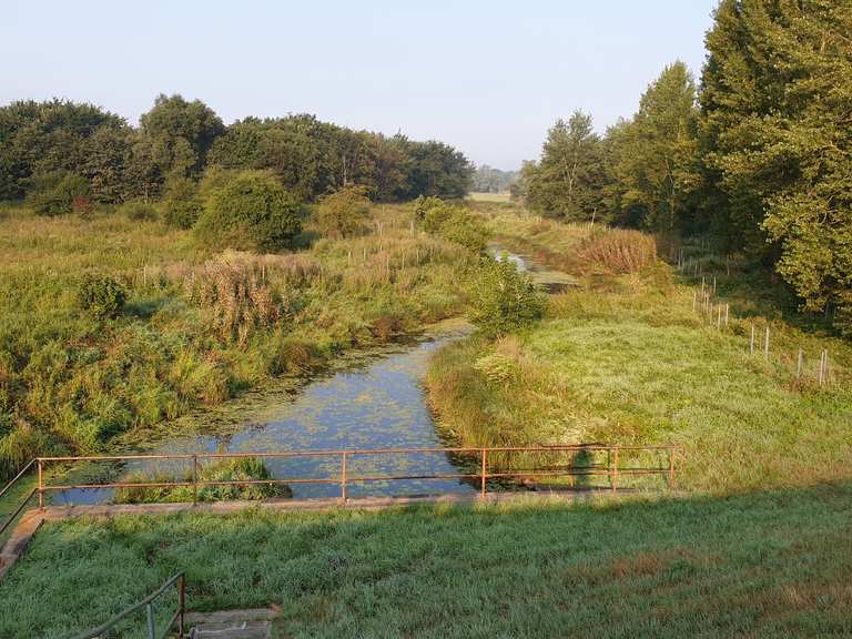 Aussichtsturm Alte Elbe – Aueweg Klieken Runde von Klieken | Wanderung ...