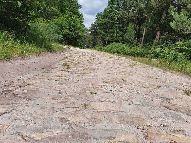 Route pavée dans la forêt d'Ermenonville Cycle Routes and Map | Komoot