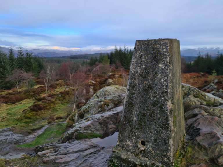Grizedale Forest loop from the Visitor Centre — Lake District National ...
